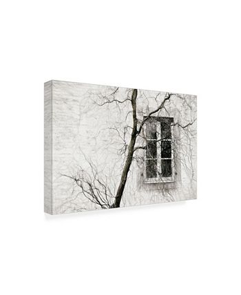 Trademark Global Gilbert Claes Veiled Window Canvas Art - 15" x 20" - Macy's