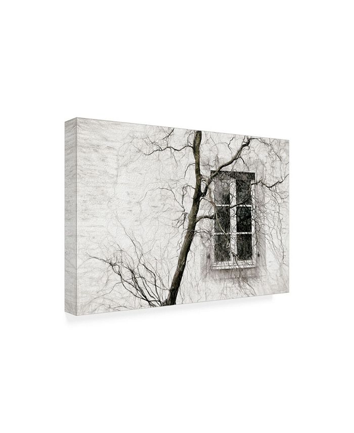 Trademark Global Gilbert Claes Veiled Window Canvas Art - 15 Trademark Global Gilbert Claes Veiled Window Canvas Art - 15