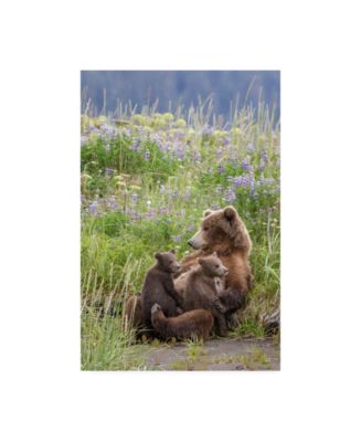 Renee Doyle In a Mothers Arms Canvas Art - 27" x 33.5" - Macy's