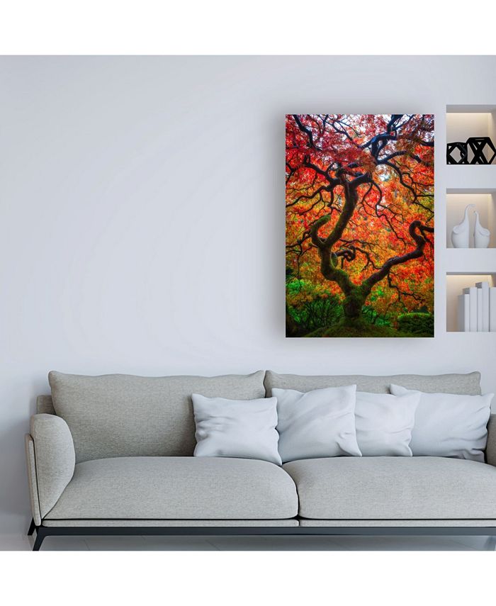 Trademark Global Darren White Photography Earthal Tree Alive Canvas Art ...