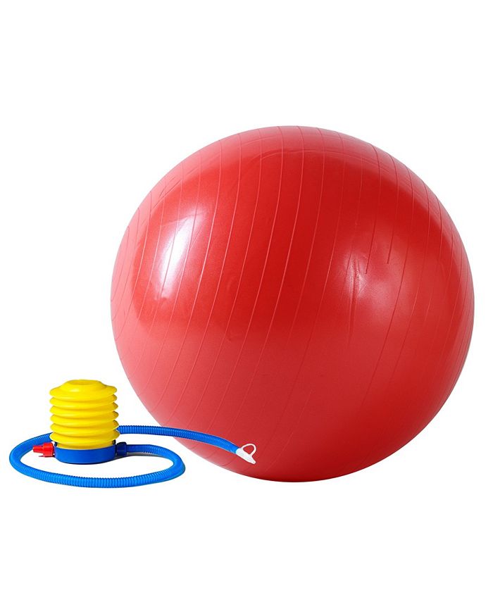 Sunny Health & Fitness Anti-Burst Gym Ball with Pump - 55 cm - Macy's