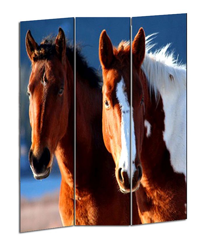 Screen Gems Double sided with different Design 3 Panel 6' Horse Screen ...