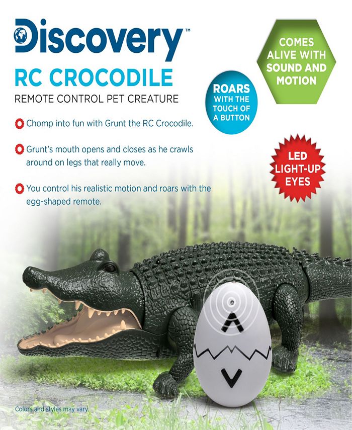Discovery Kids Toy Remote Control Crocodile - Macy's