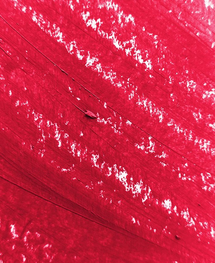 Lord & Berry Shiny Crayon Lipstick & Reviews - Makeup - Beauty - Macy's