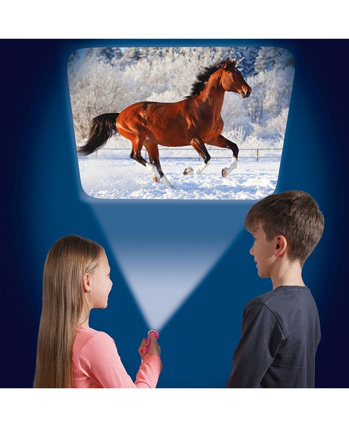 Redbox Brainstorm Toys Horse Flashlight and Projector with 24 Horse ...