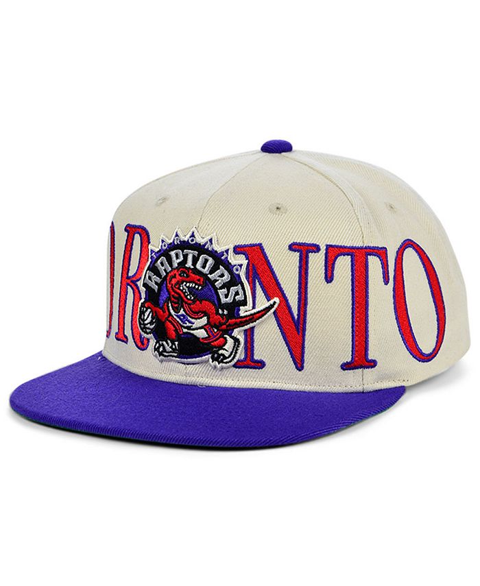 Mitchell & Ness Toronto Raptors Hardwood Classic Winners Circle ...