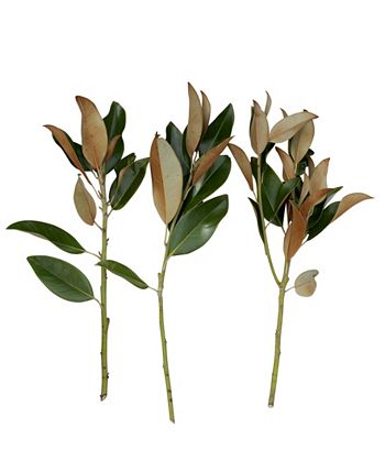 Magnolia Supply Co Fresh Magnolia Bundle - Macy's