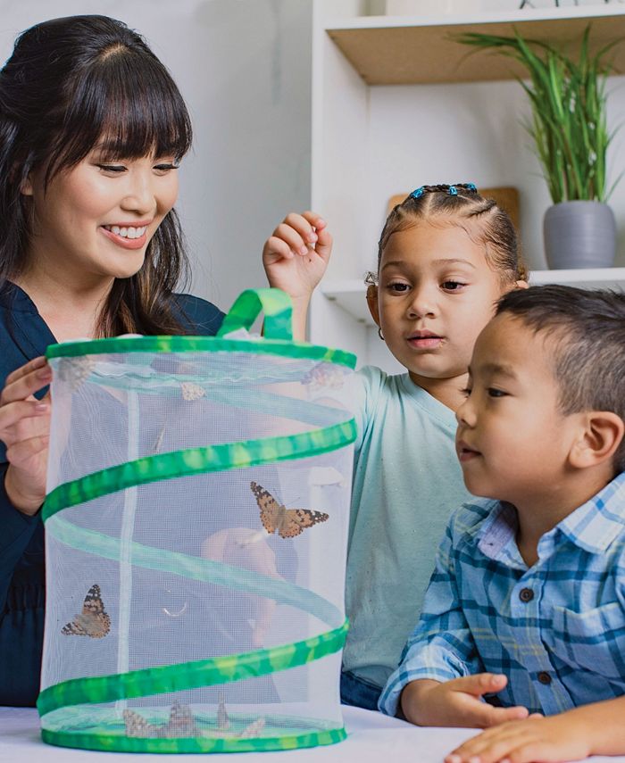 Insect Lore STEM Educational Butterfly Life Cycle Growing Kit - Macy's