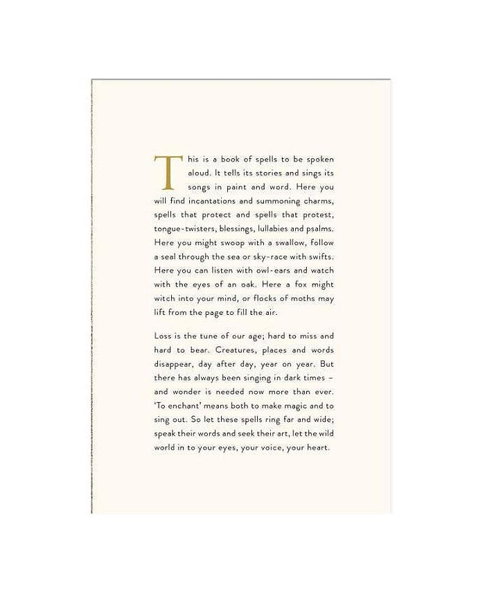 Barnes & Noble The Lost Spells by Robert Macfarlane - Macy's