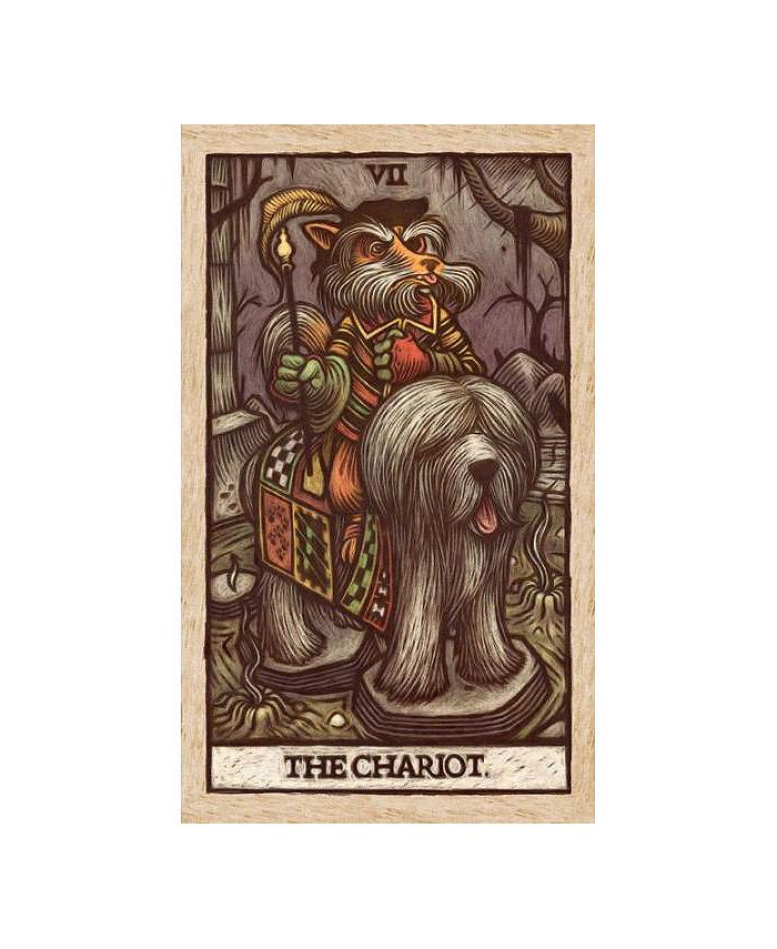 Barnes & Noble Labyrinth Tarot Deck and Guidebook Movie Tarot Deck by ...