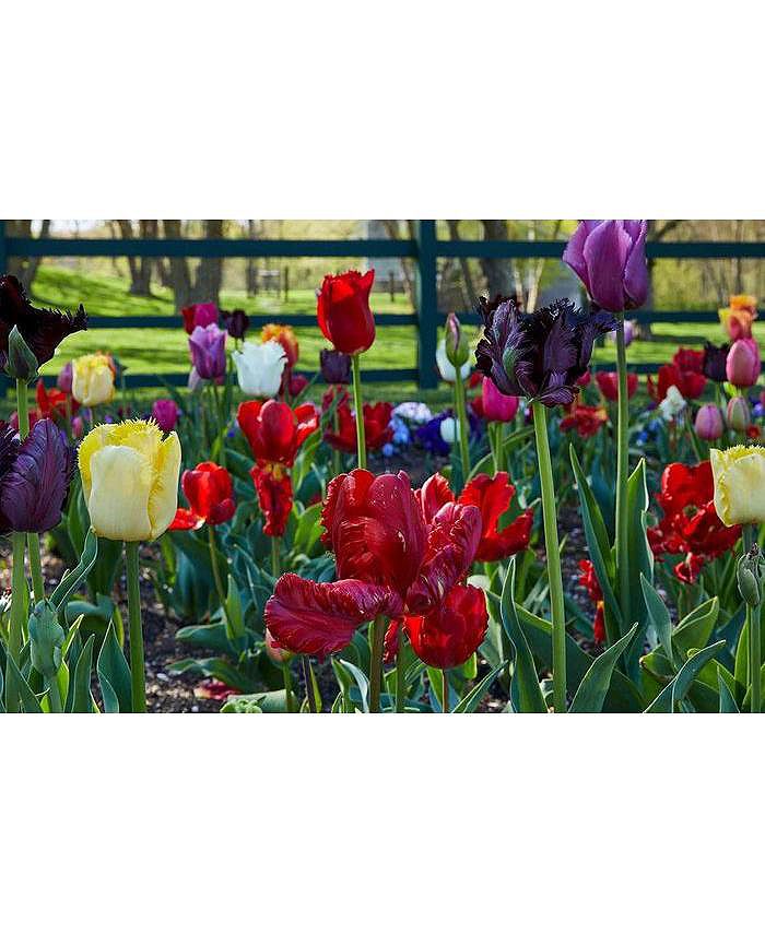 Barnes & Noble Becoming a Gardener: What Reading and Digging Taught Me ...