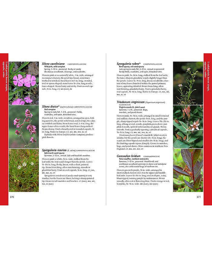 Barnes & Noble Wildflowers of the Pacific Northwest by Mark Turner - Macy's