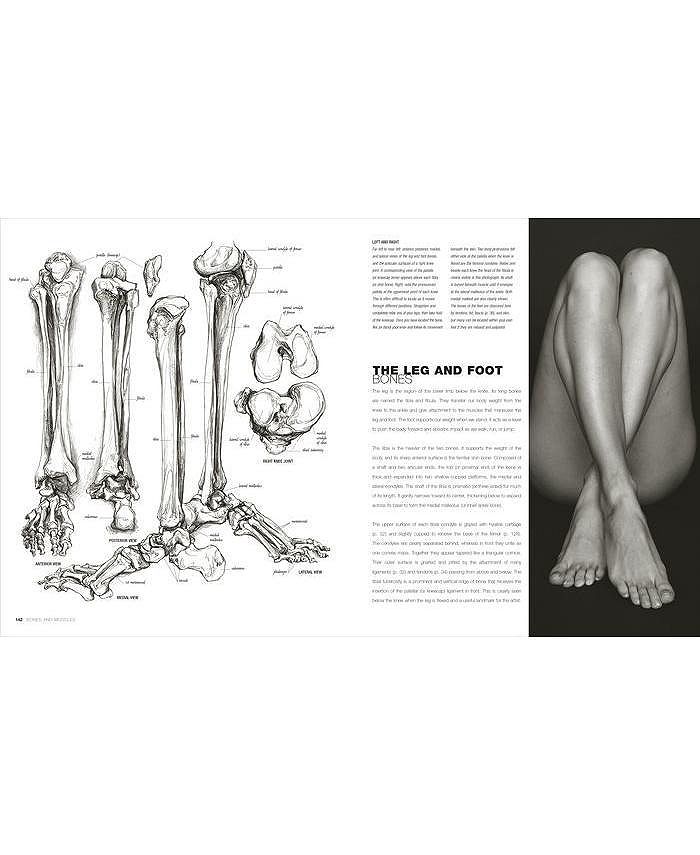 Barnes & Noble Anatomy for the Artist by Sarah Simblet - Macy's