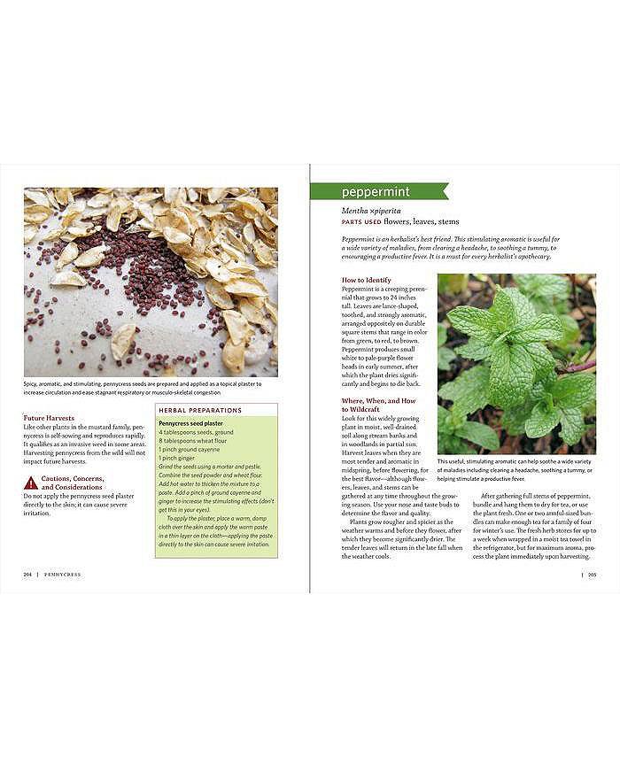 Barnes & Noble Midwest Medicinal Plants: Identify, Harvest, and Use 109 Wild Herbs for Health ...