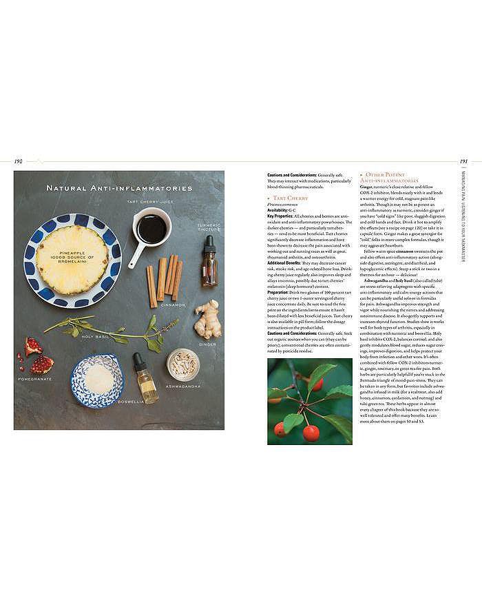 Barnes & Noble Body into Balance: An Herbal Guide to Holistic Self-Care by Maria Noel Groves ...