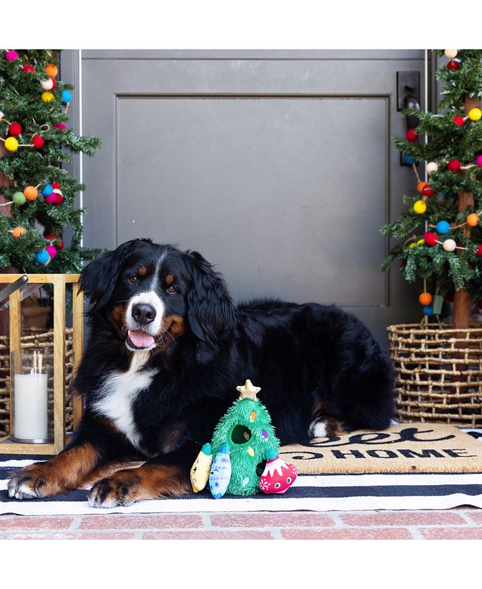 Fringe Studio 4-Pc. Ready Set Glow Burrow Dog Toy Set - Macy's