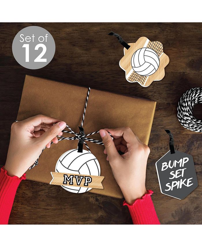 Big Dot of Happiness Bump, Set, Spike - Volleyball Assorted Hanging ...