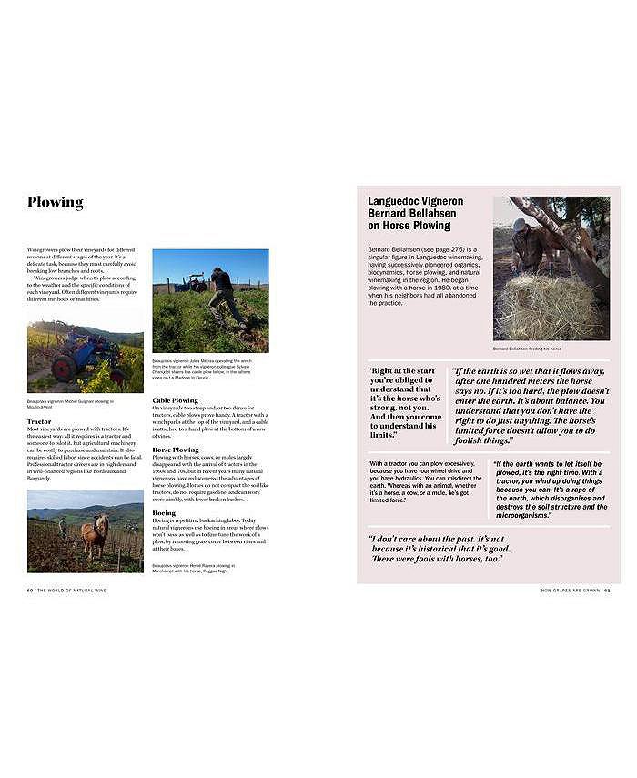 Barnes & Noble The World of Natural Wine: What It Is, Who Makes It, and ...