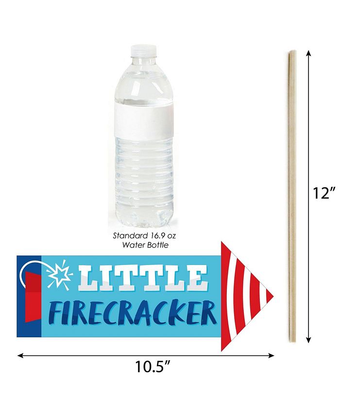 Big Dot of Happiness Funny Firecracker 4th of July - Party Photo Booth ...