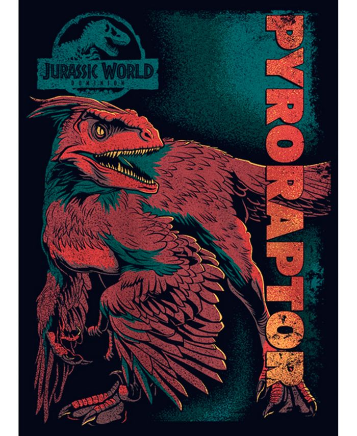 NBC Universal Girl's Jurassic World: Dominion Pyroraptor Dinosaur ...