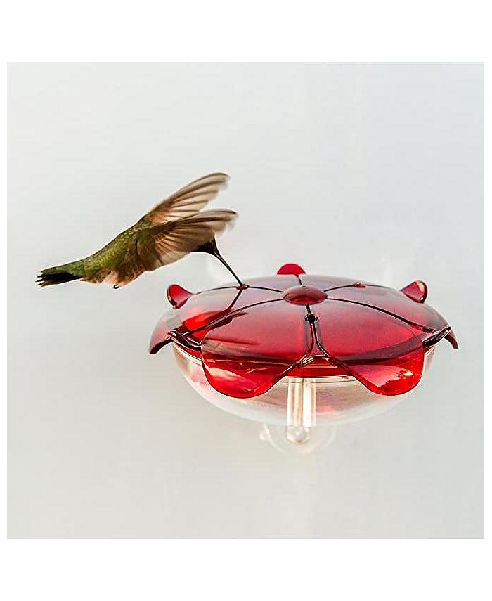 Droll Yankees Ruby Sipper Window Mounted Outdoor Humming Bird Feeder ...