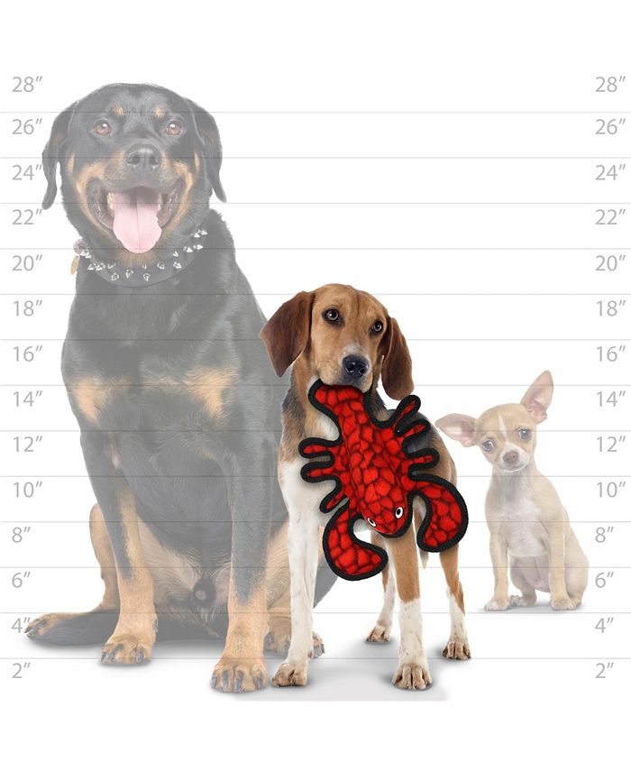 Tuffy Ocean Creatures Jr Lobster, Dog Toy - Macy's