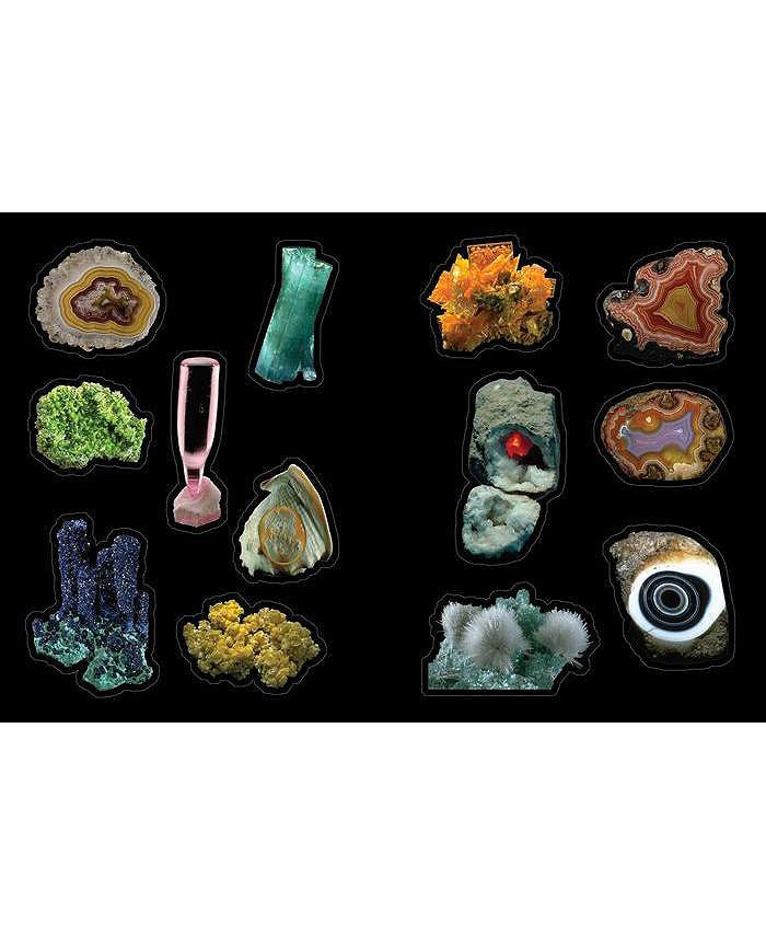 Barnes & Noble Cabinet of Curiosities: Over 1,000 Curated Stickers from ...