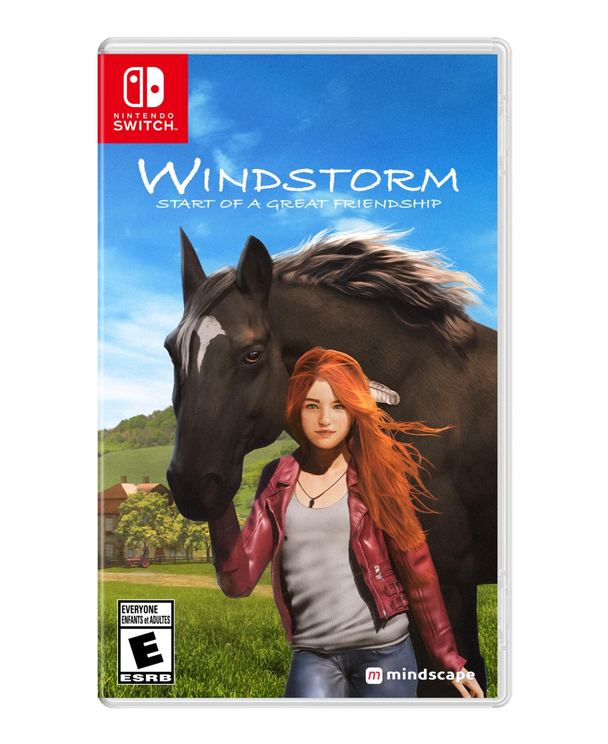Click here for Windstorm Start Of A Great Freindship - Switch prices