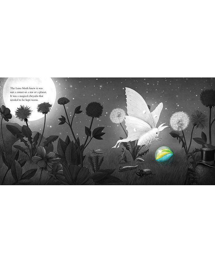 Barnes & Noble It Fell from the Sky by Terry Fan - Macy's