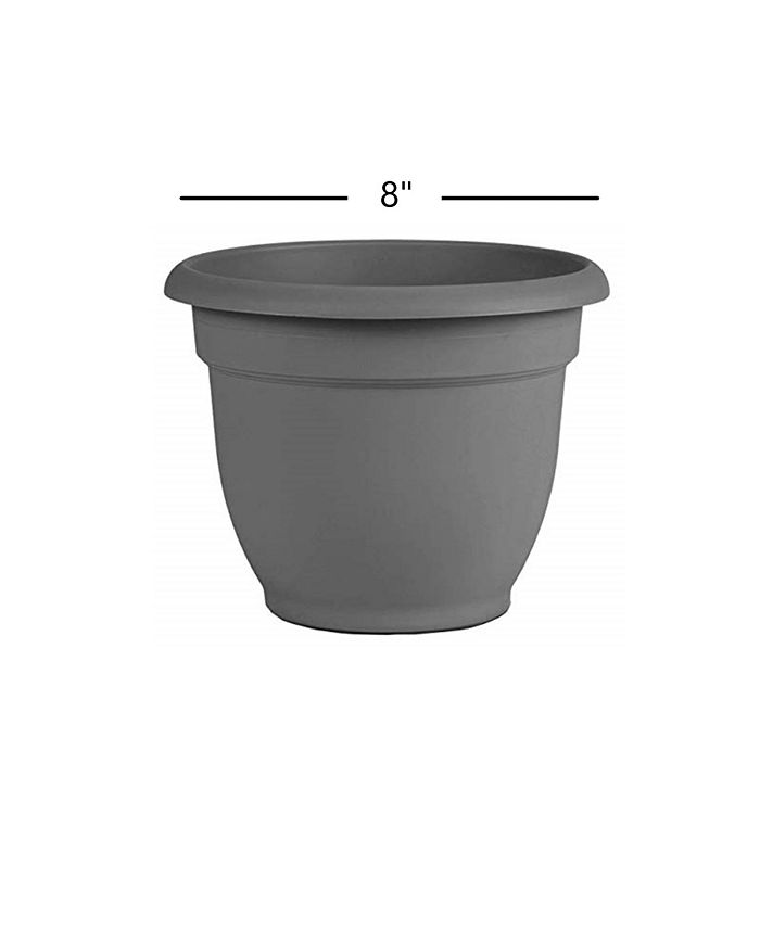 Bloem AP08908 Ariana Planter with Self-Watering Disk, Charcoal - 8 ...