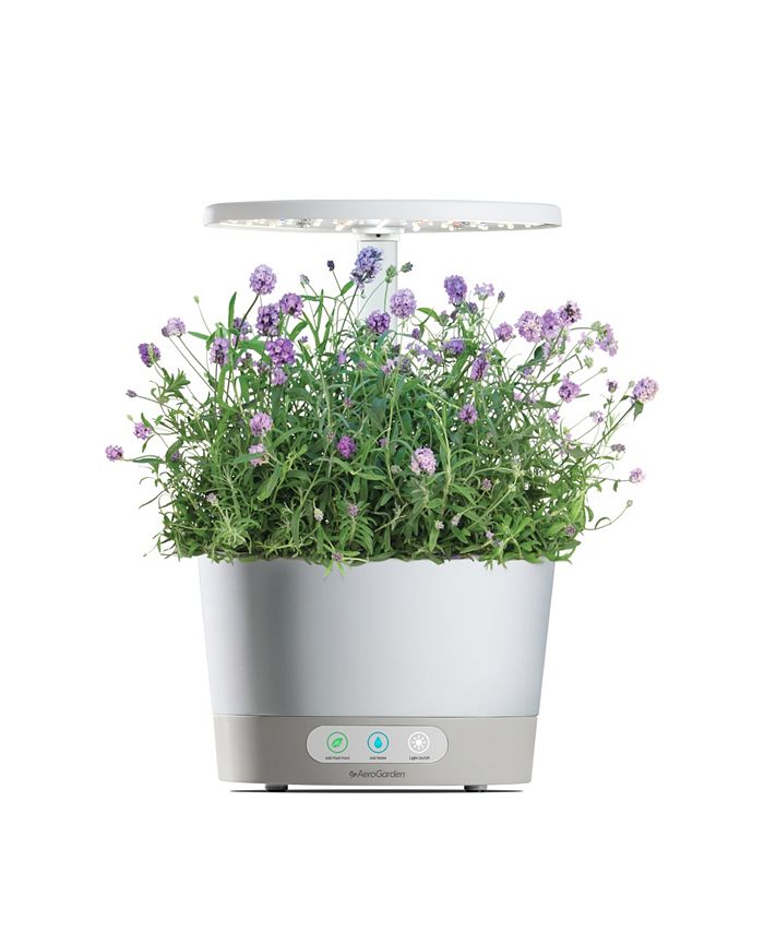 Macy's AeroGarden Lots of Lavender Seed Pod Kit, 6-Pod - Macy's