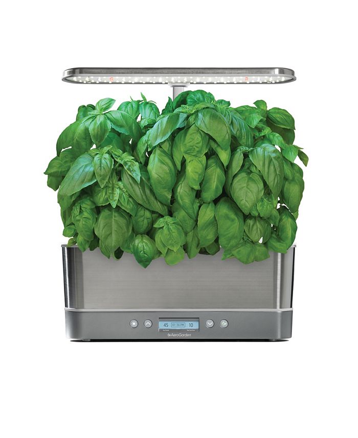Macy's AeroGarden Pesto Basil 6-Pod Seed Kit - Macy's