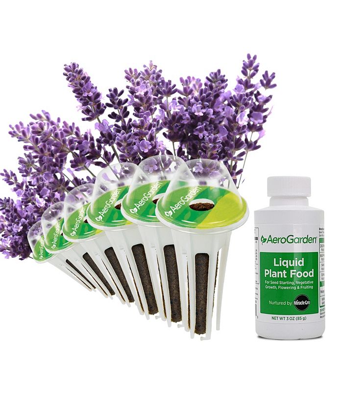 Macy's AeroGarden Lots of Lavender Seed Pod Kit, 6-Pod - Macy's