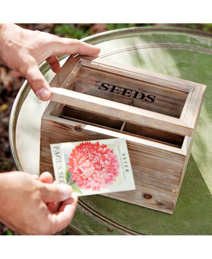 Park Hill Collection Seed Packet Box - Macy's