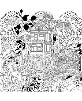 Barnes & Noble Mythographic Color and Discover- Dream Weaver- An Artist ...