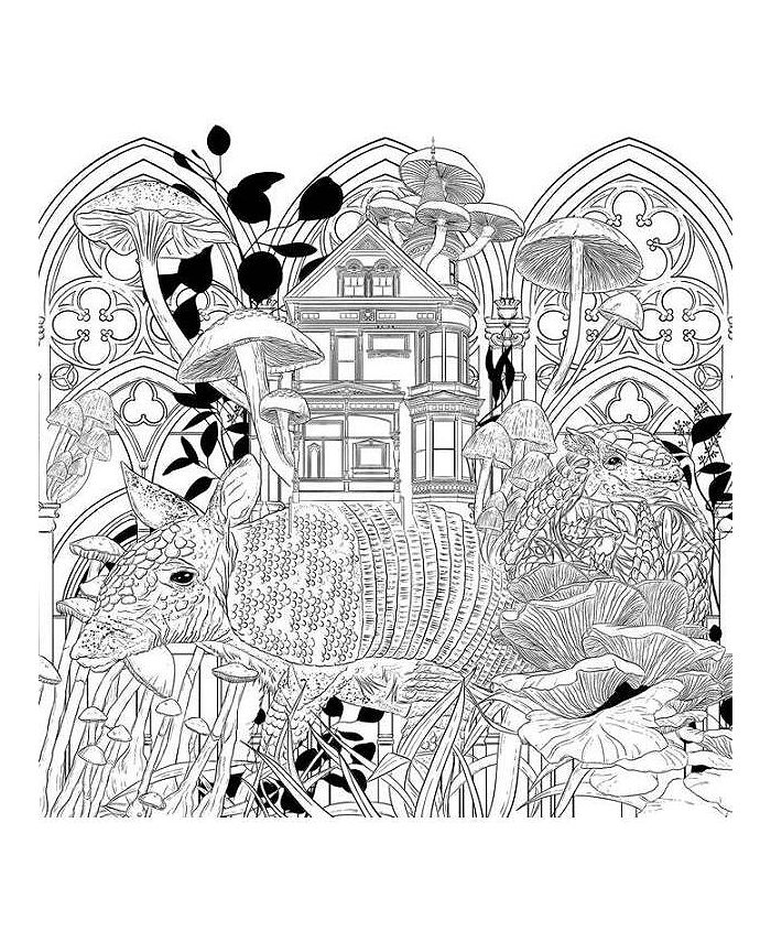 Barnes & Noble Mythographic Color and Discover- Dream Weaver- An Artist ...