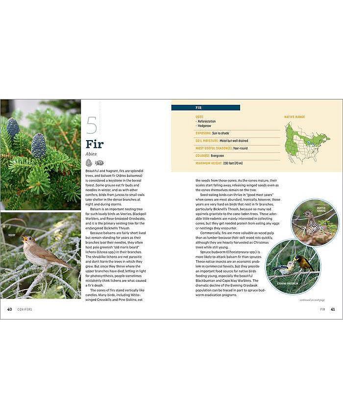 Barnes & Noble 100 Plants to Feed the Birds- Turn Your Home Garden into ...