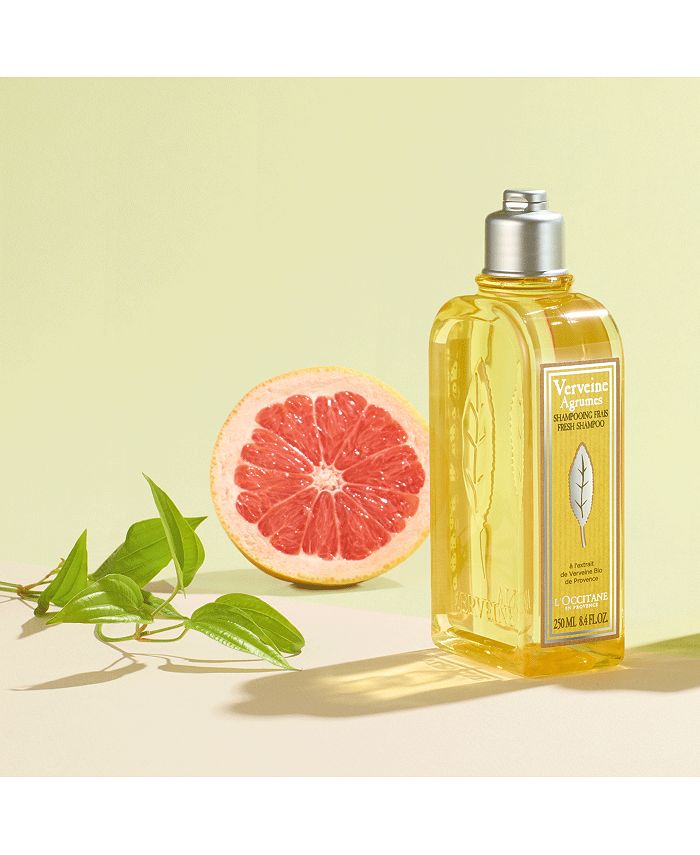 L'Occitane Citrus Verbena Fresh Shampoo 8.40 fl. oz - Macy's
