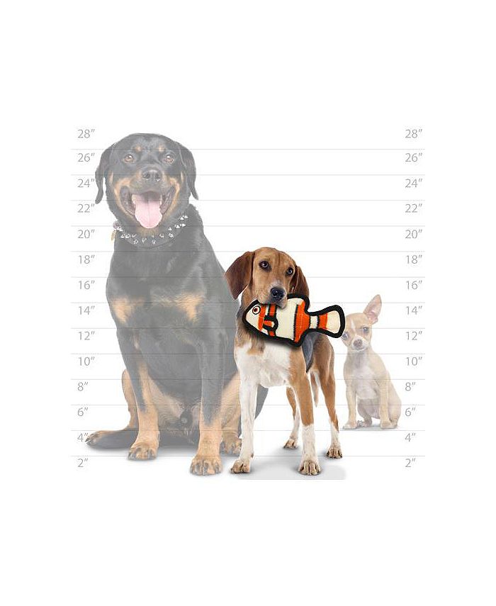 Tuffy Ocean Creature Jr Fish Orange, 2-Pack Dog Toys - Macy's