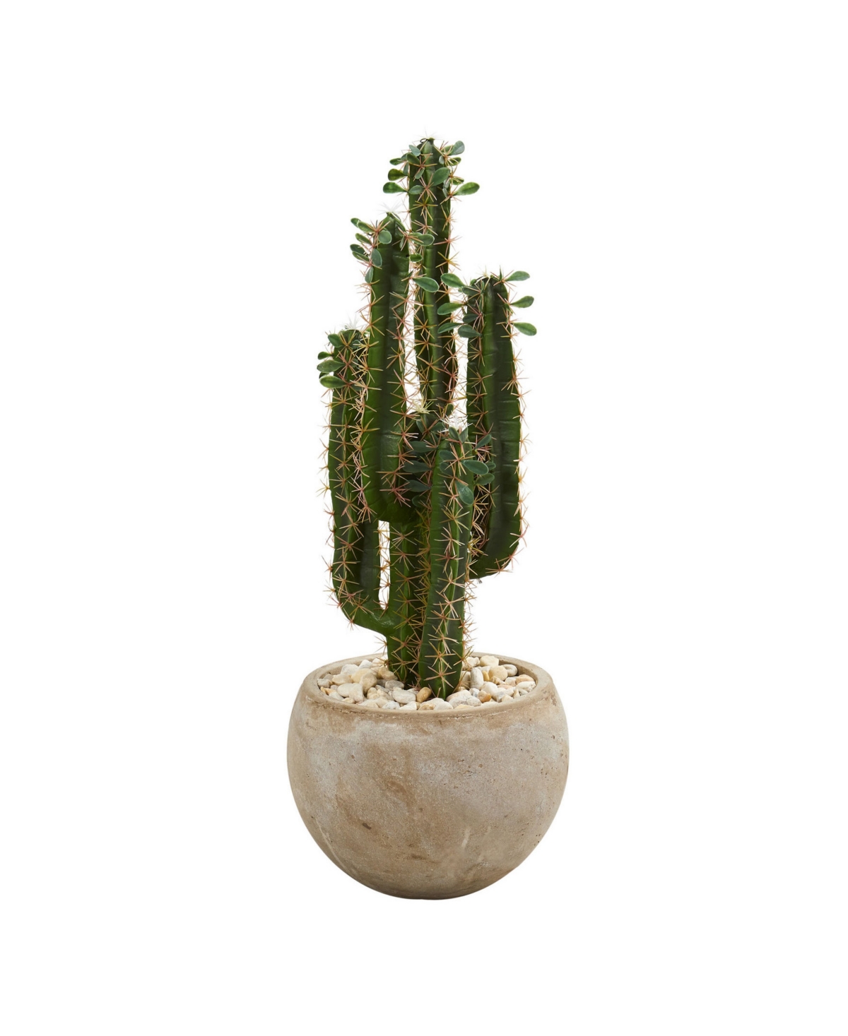Click here for Nearly Natural 2.5 Cactus Artificial Plant in Bowl... prices