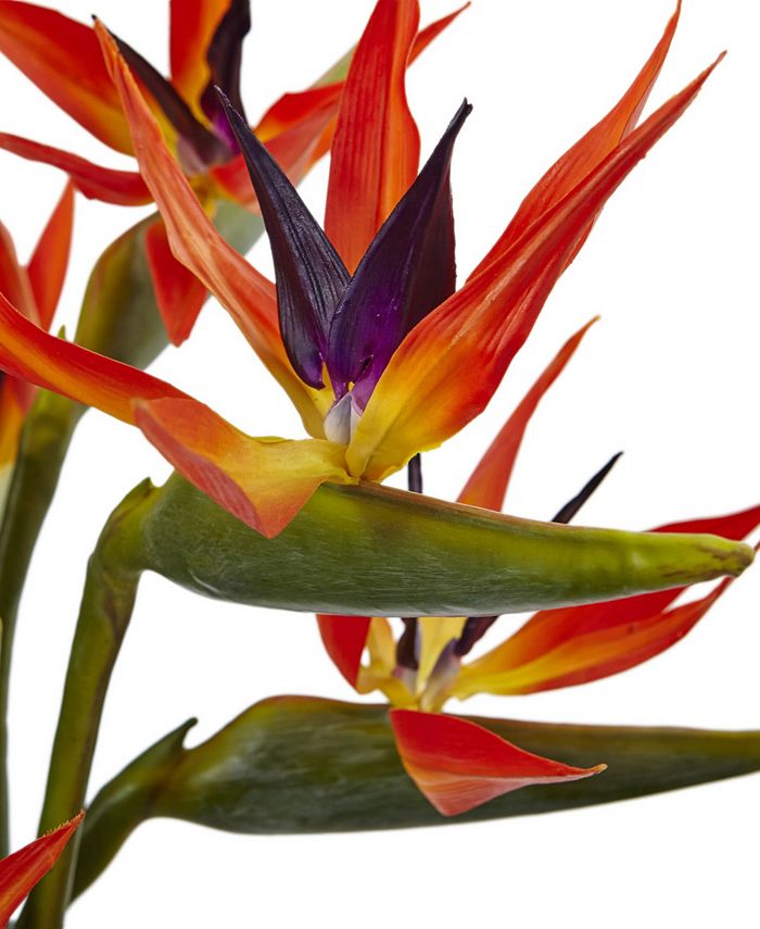 Nearly Natural Silk Birds of Paradise & Vase - Macy's