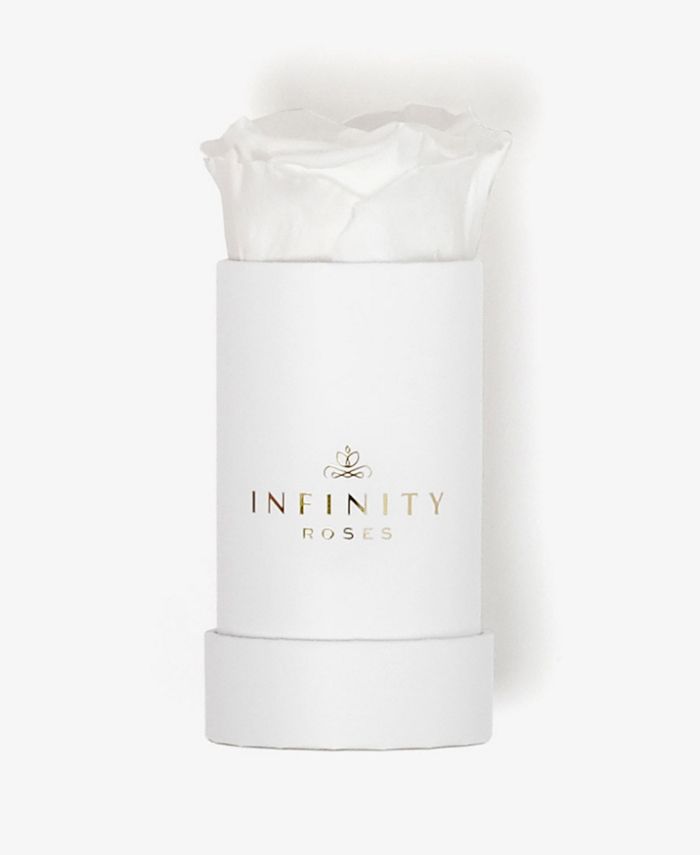 Infinity Roses Single White Real Rose Preserved To Last Over A Year ...