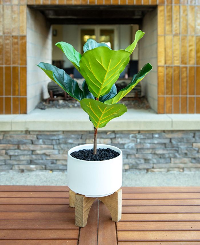 Flora Bunda 23" Tall Fiddle Leaf in Ceramic Planter on Wood Stand - Macy's