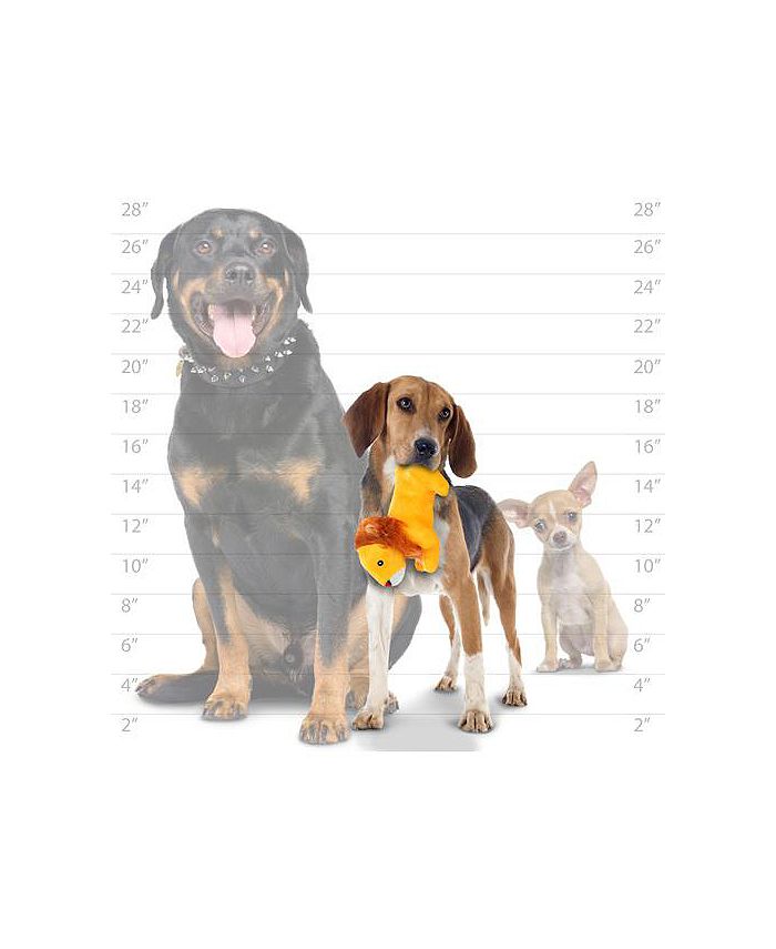 Mighty Jr Safari Lion, 2-Pack Dog Toys - Macy's