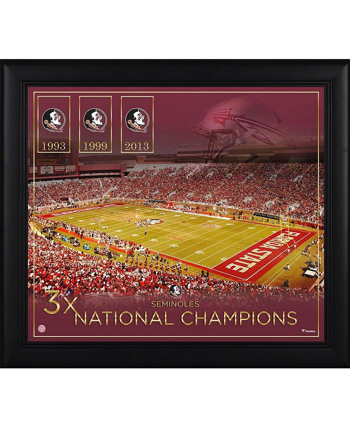 Fanatics Authentic Florida State Seminoles Framed 15" x 17" Football ...