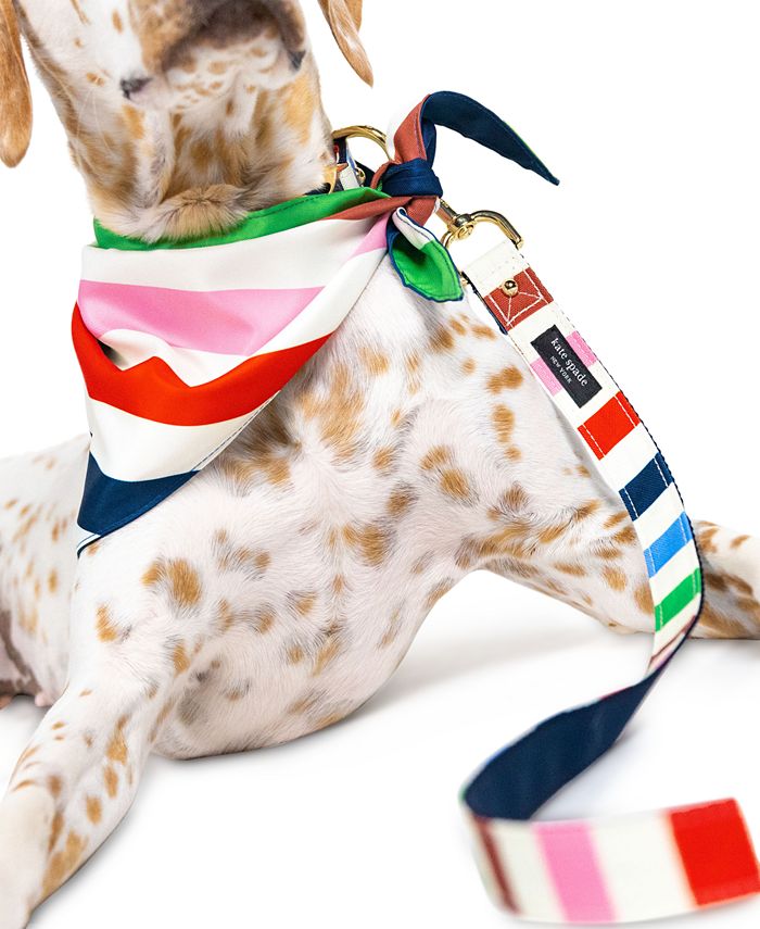 kate spade new york Adventure Stripe Dog Leash - Macy's