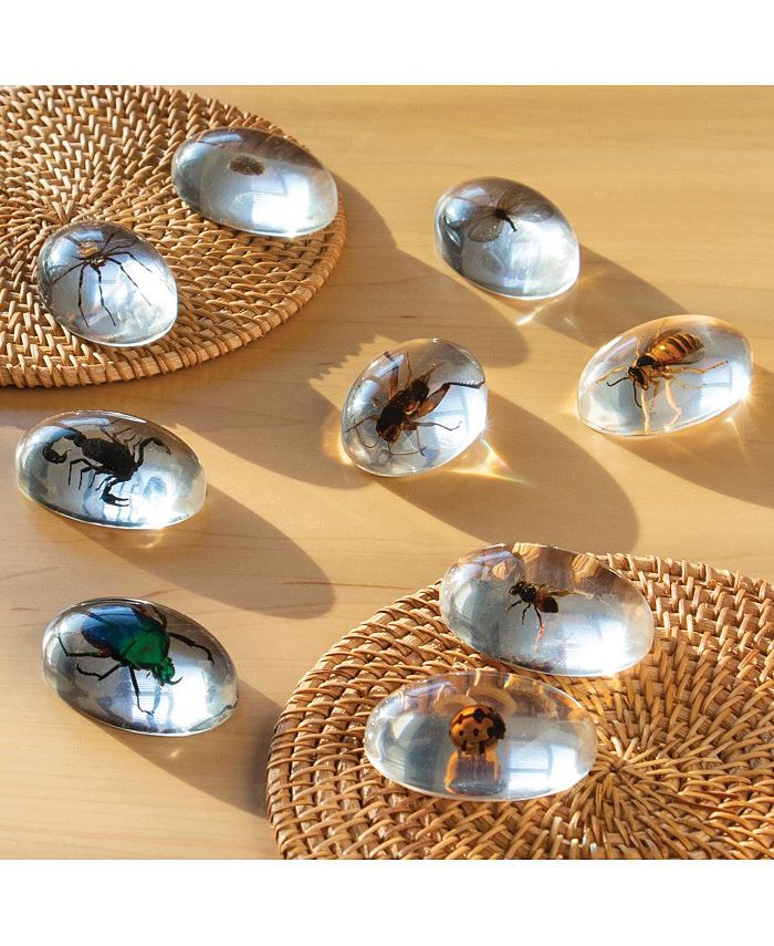 Kaplan Early Learning Specimen Stones: Bugs - Macy's