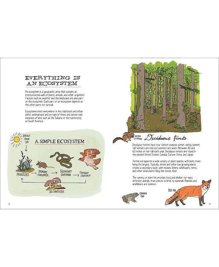 Barnes & Noble Wildlife Anatomy- The Curious Lives & Features of Wild ...