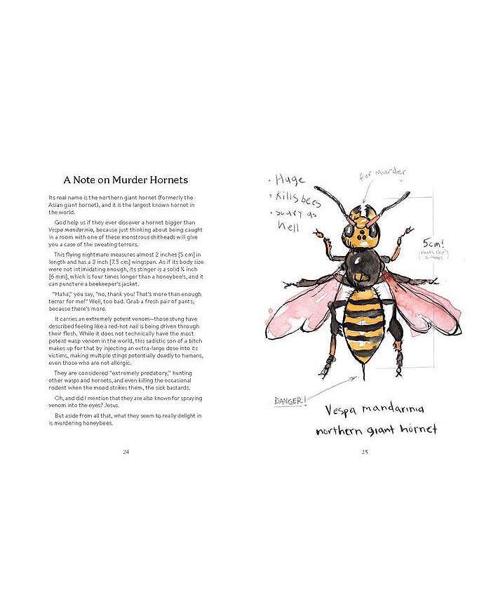 Barnes & Noble OMFG, BEES!- Bees Are So Amazing and You're About to Find Out Why by Matt Kracht ...