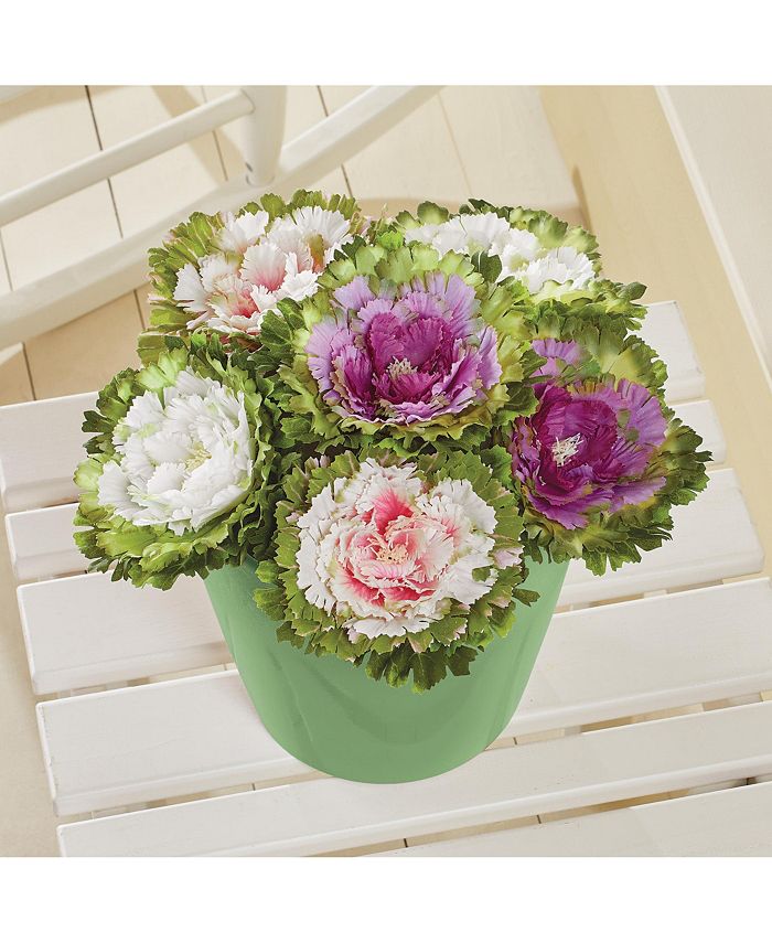 Collections Etc Artificial Faux Cabbage Rose Flower Stems, Multicolor ...
